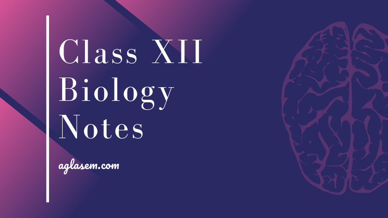 Class 12 Biology Notes for Evolution (PDF) - Study Material - AglaSem