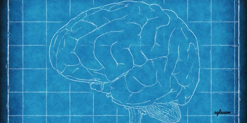 20 Important Diagrams For CBSE Class 10 Science Board Exam 2025 You ...